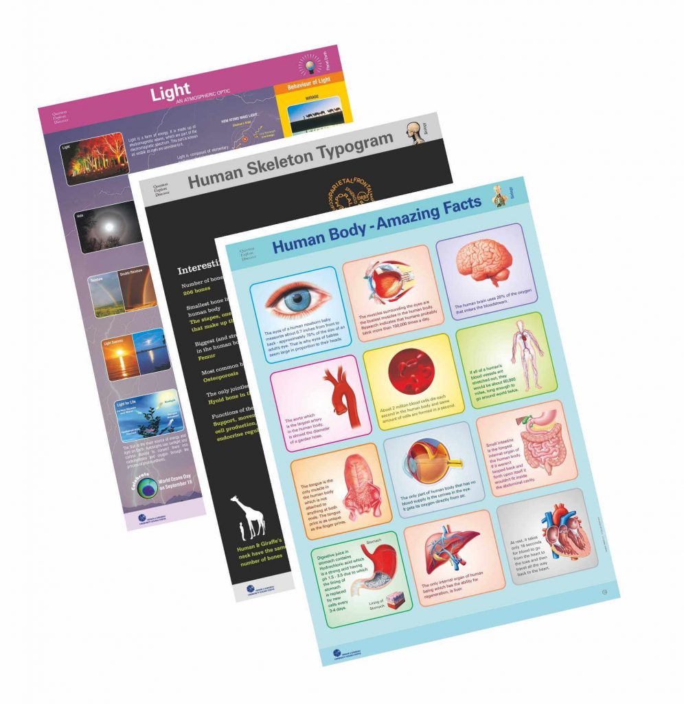 Science Gallery (Set of 30 Charts, 18″x 25″) – Science Shop