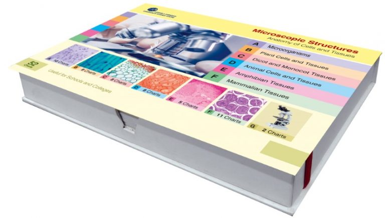 Microscopic Structures (Set of 52 charts) – Science Shop